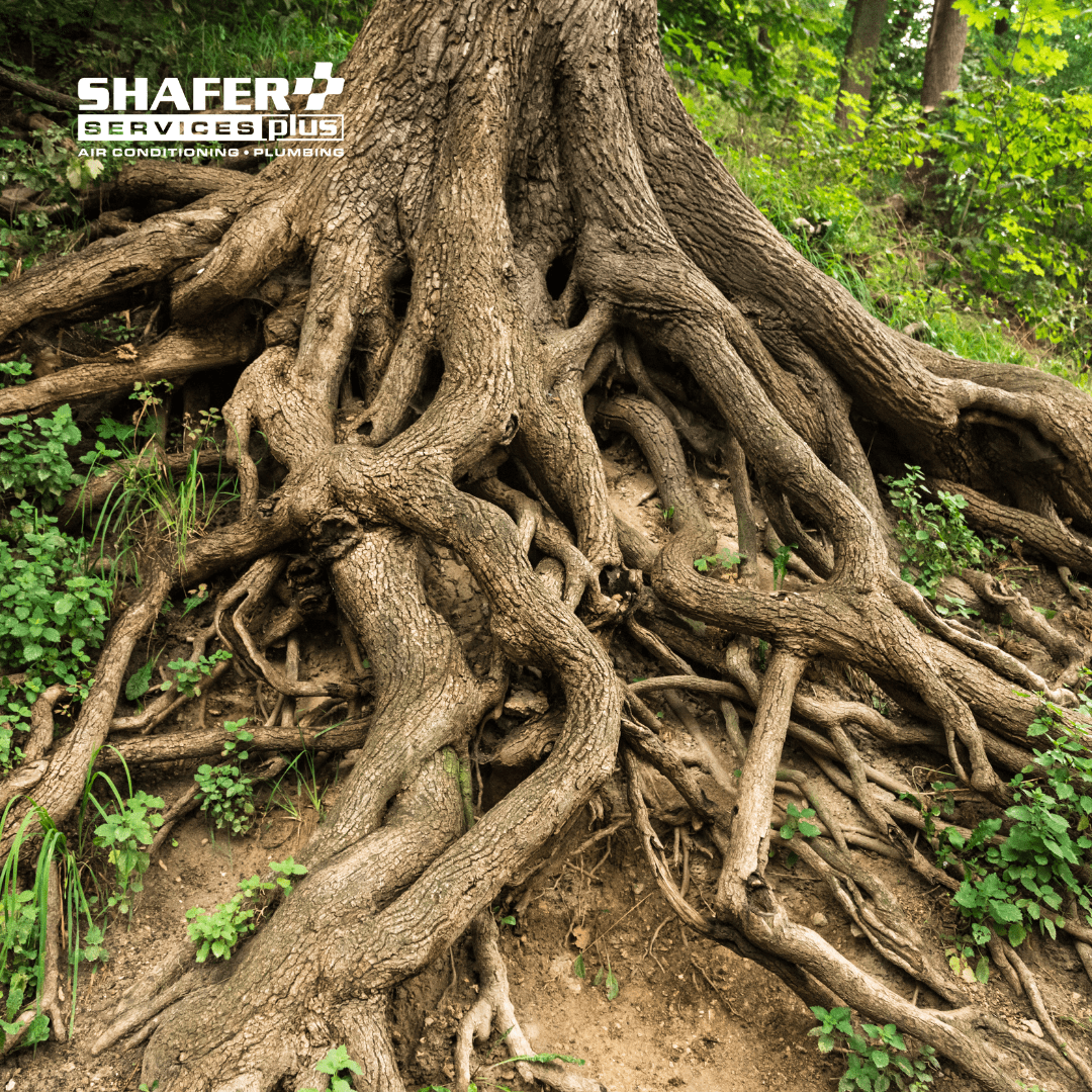 What is Hydro Jetting and When Should San Antonio Homeowners Consider ...